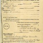 1880 Marriage Certificate Hennepin County, Minnesota November 22, 1880 ...