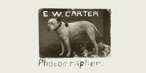 E.W. Carter Photographs Archives - Chuck's Toyland