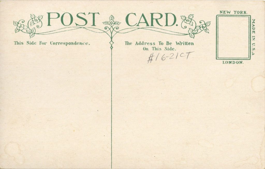 1915 ca. EXAGERATION Cabbage The kind we raise in our State postcard back