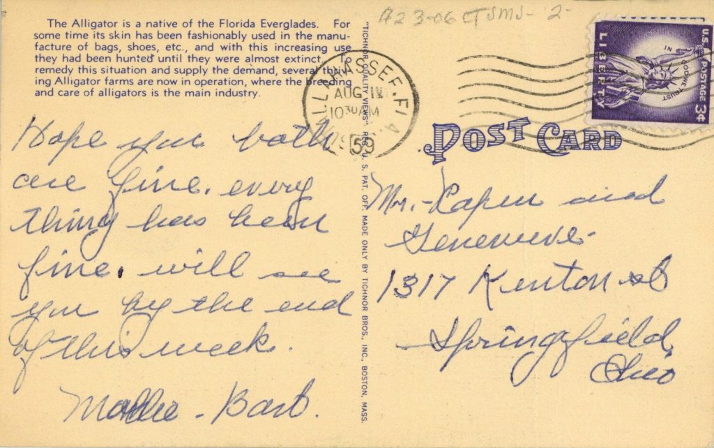 1959 8 1x EXAGGERATION Alligator All the Way from Florida 199 postcard back