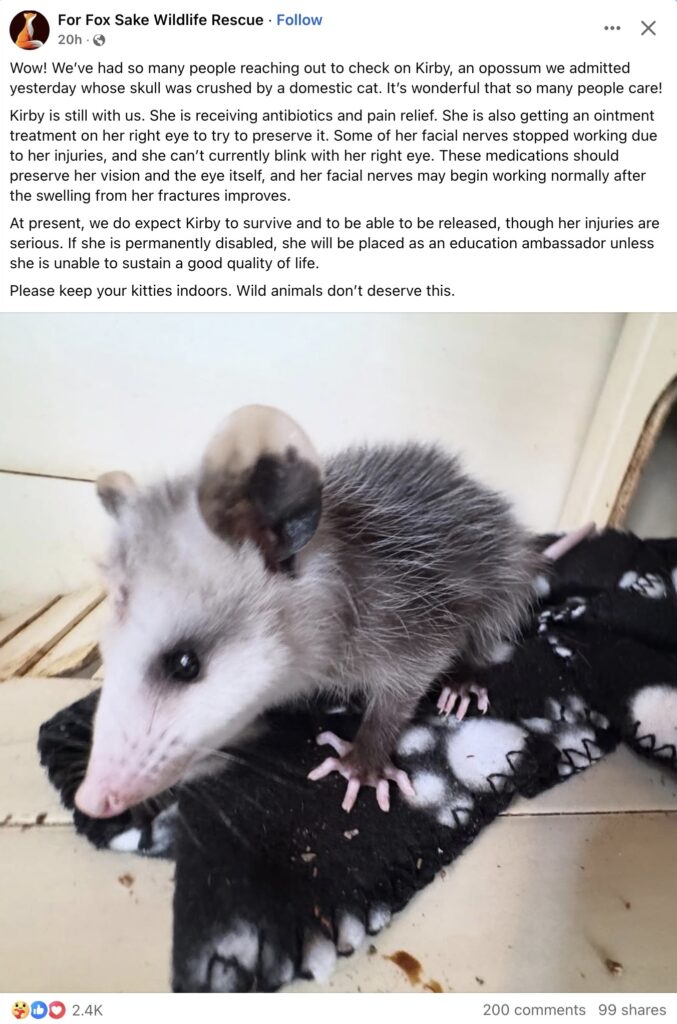 Opossum 694 FB