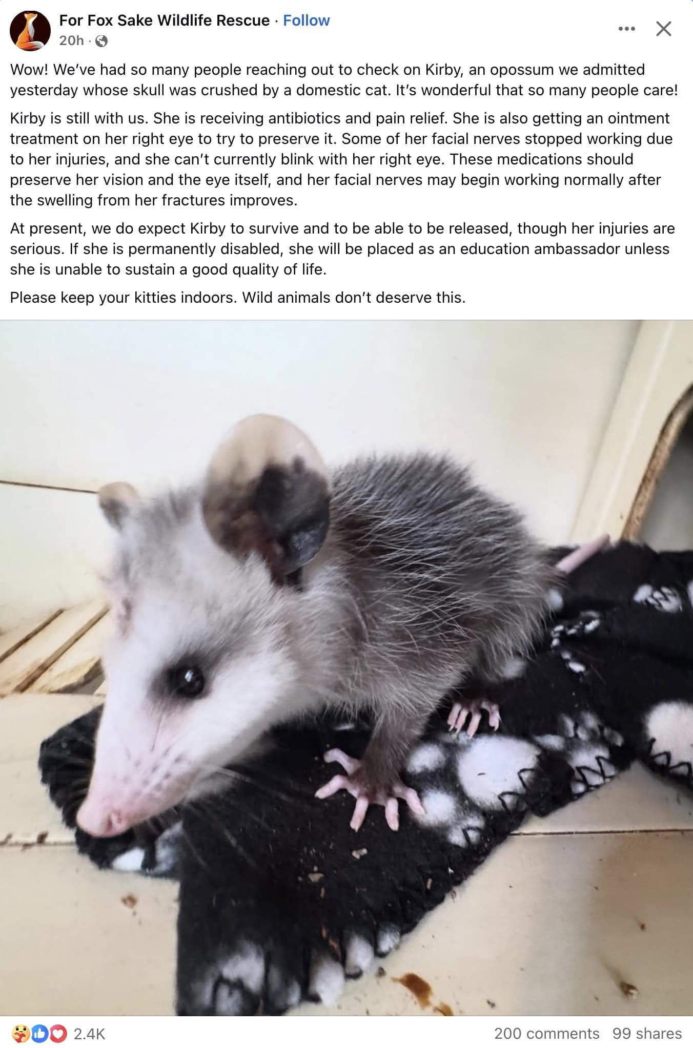 Opossum 694 FB